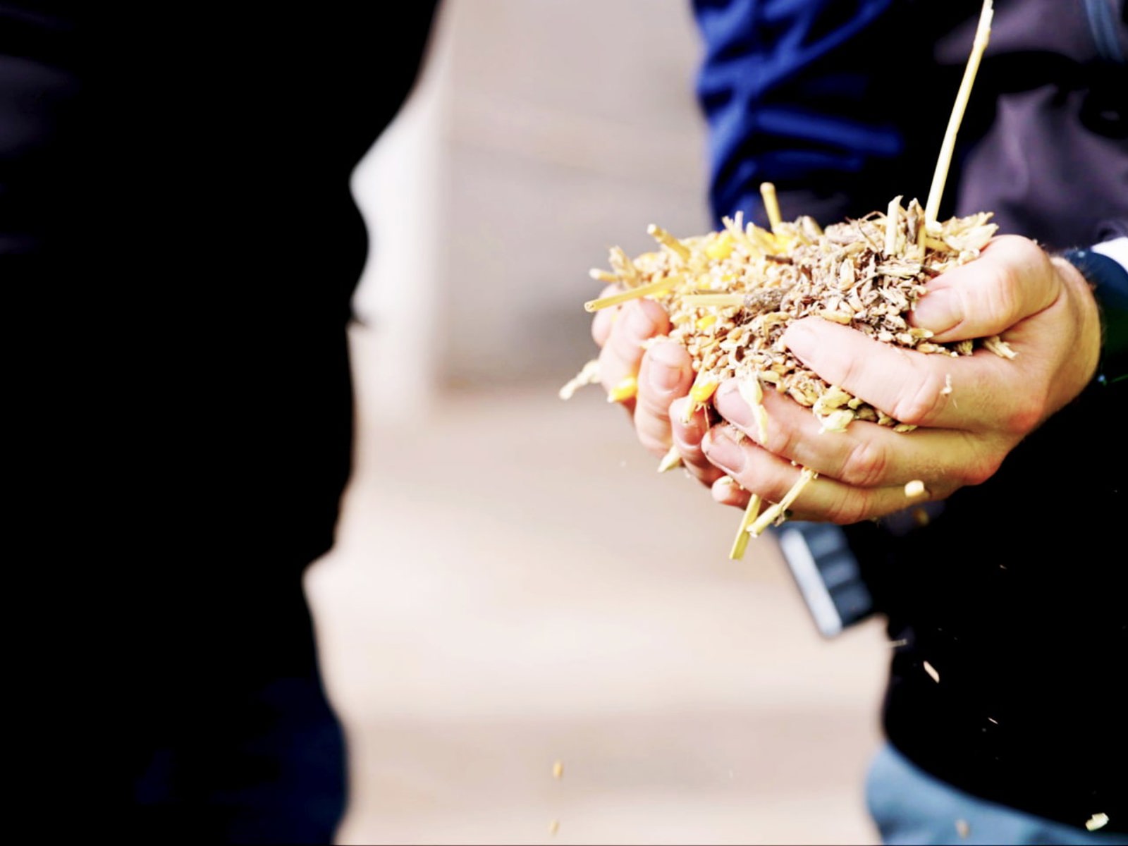 Sustainable Fuel Plant